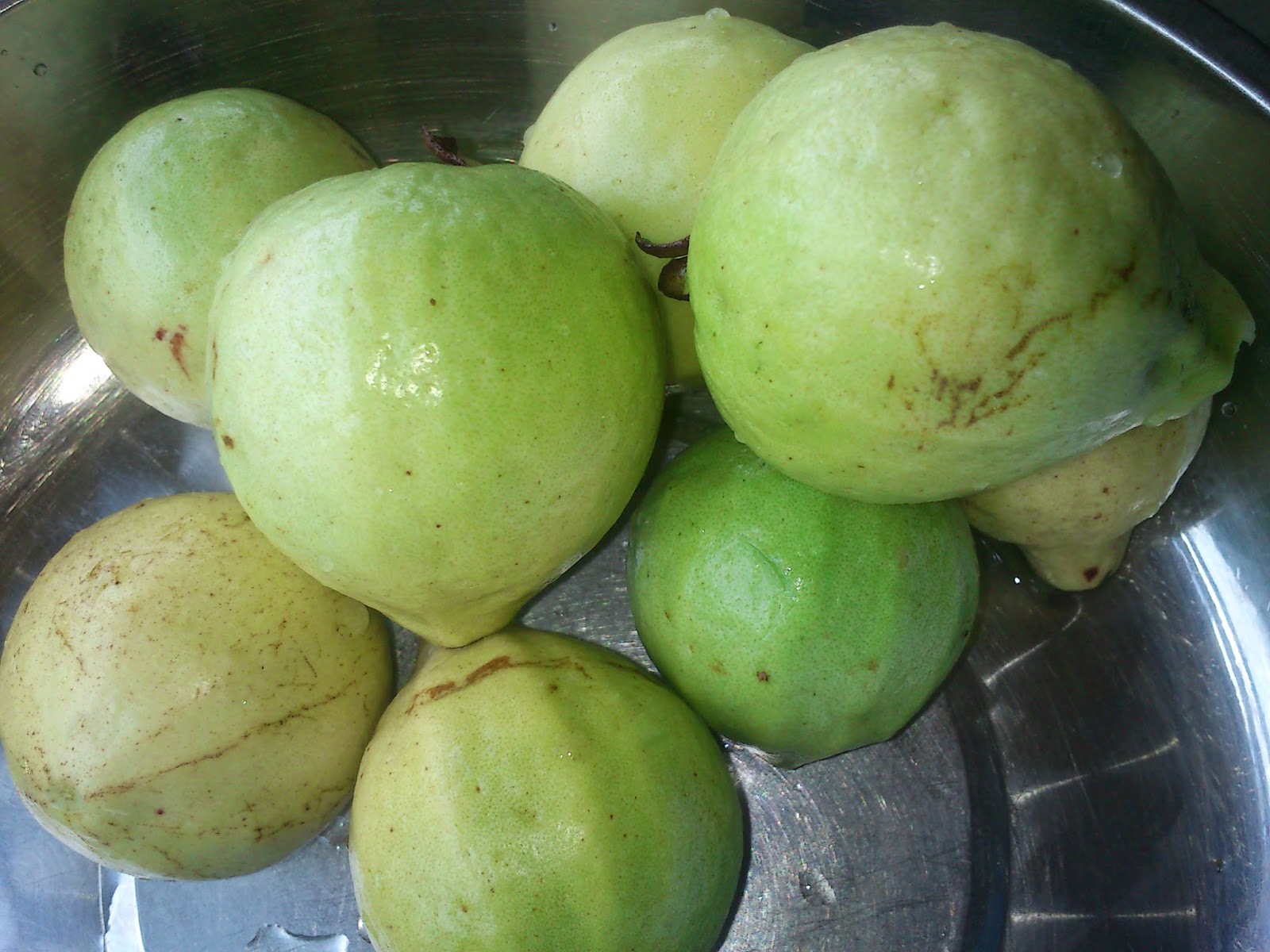 CORETAN HIDUP: jambu batu